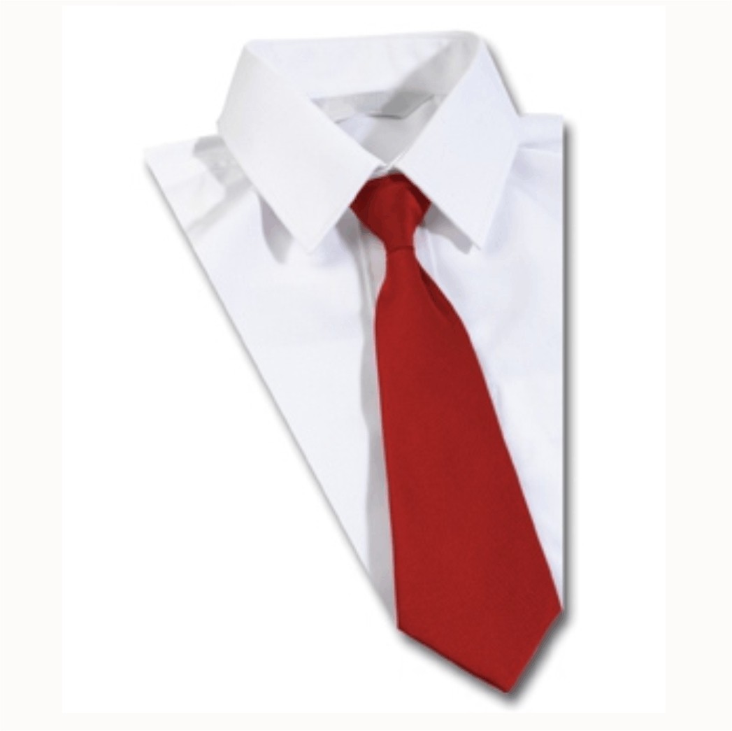 Amblecote Primary Red School Tie – Crested School Wear