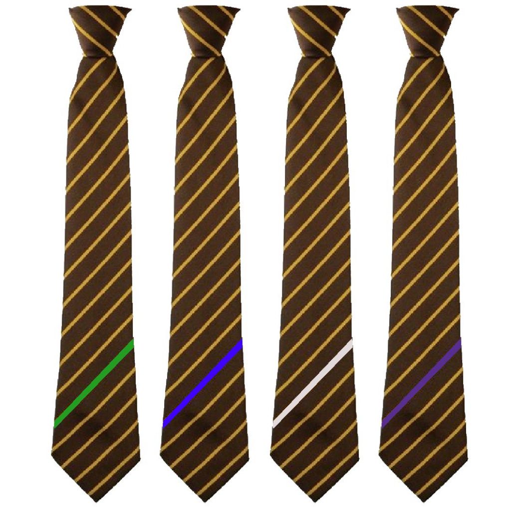 Haybridge Year 7/10 House Tie – Crested School Wear
